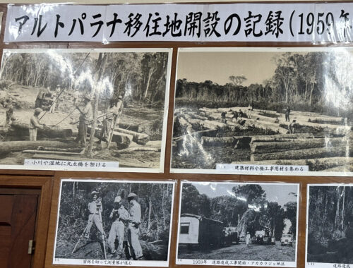 パラグアイのピラポ、日系人との交流 – IKOI style